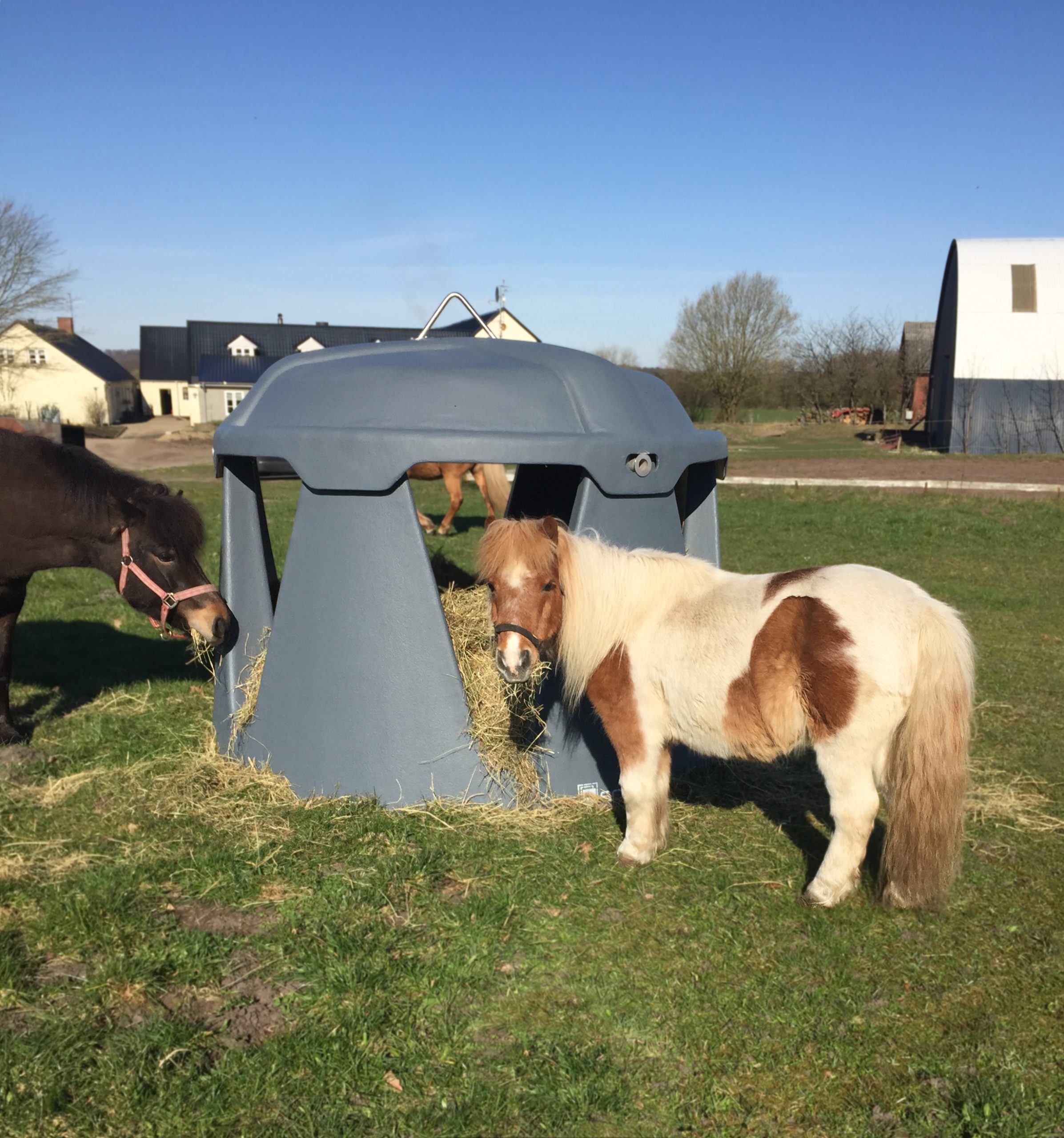 Horse Feeding Stand Non GMO Soybean Meal For Horse Feed SVF Soya